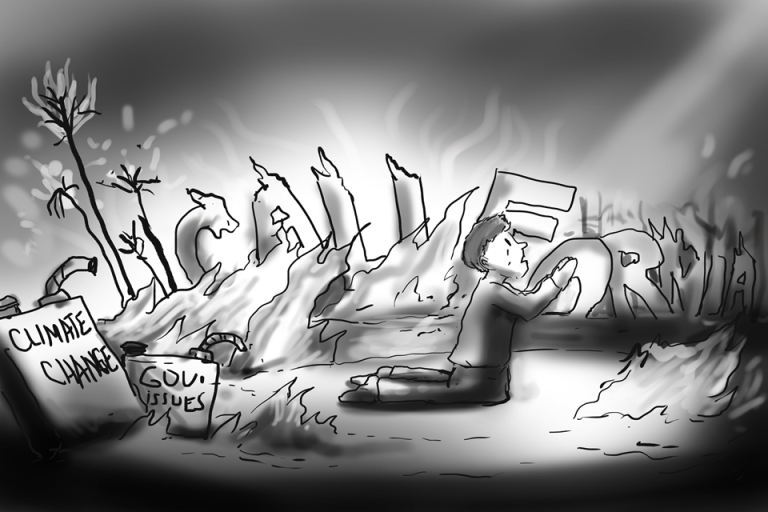 Beware and take care of ‘stray dogs’