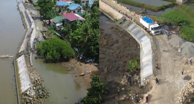 Boholano police general promoted to 3-star rank